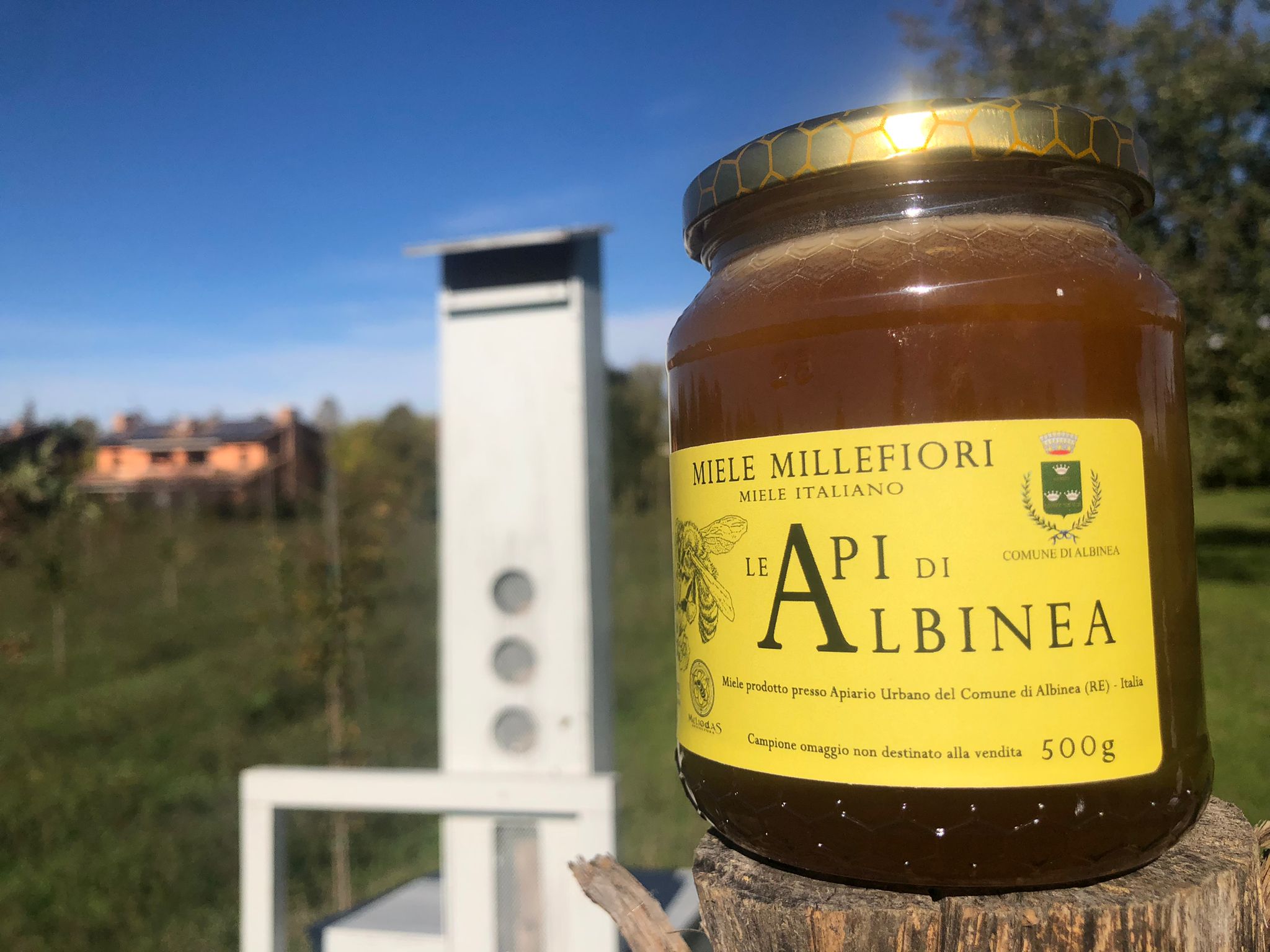 Albinea ha il suo miele grazie all’alveare comunale inaugurato un anno ...
